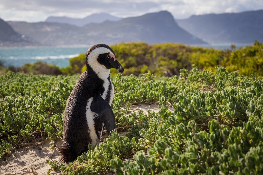 Visita City — Premium Private & Group Tours in Victoria, Australia